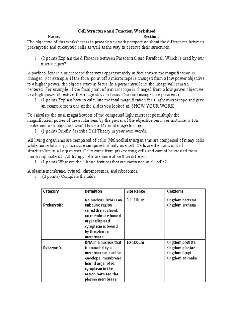 Cell Structure & Function Worksheet | PDF | Cell (Biology) | Eukaryotes