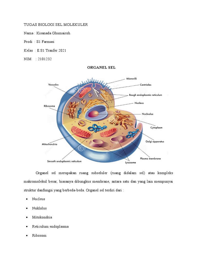 Biologi Sel Molekuler | PDF | Kesehatan Holistik