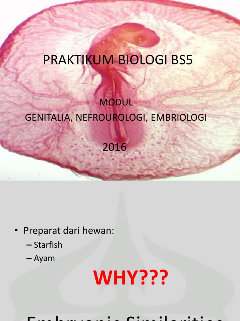 Praktikum Biologi Embriologi | PDF | Kesehatan Holistik