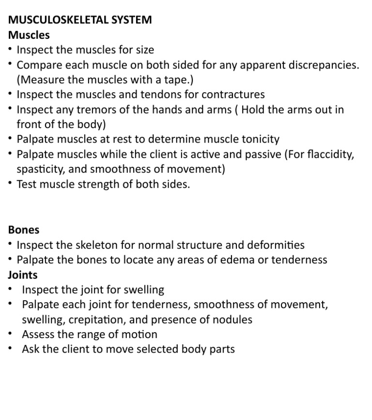 Musculoskeletal System Report | PDF