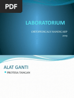 Rom Isom | PDF | Human Anatomy | Limbs (Anatomy)