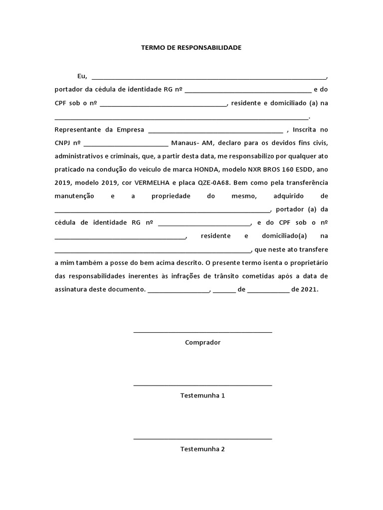 Modelo de Termo de Responsabilidade | PDF