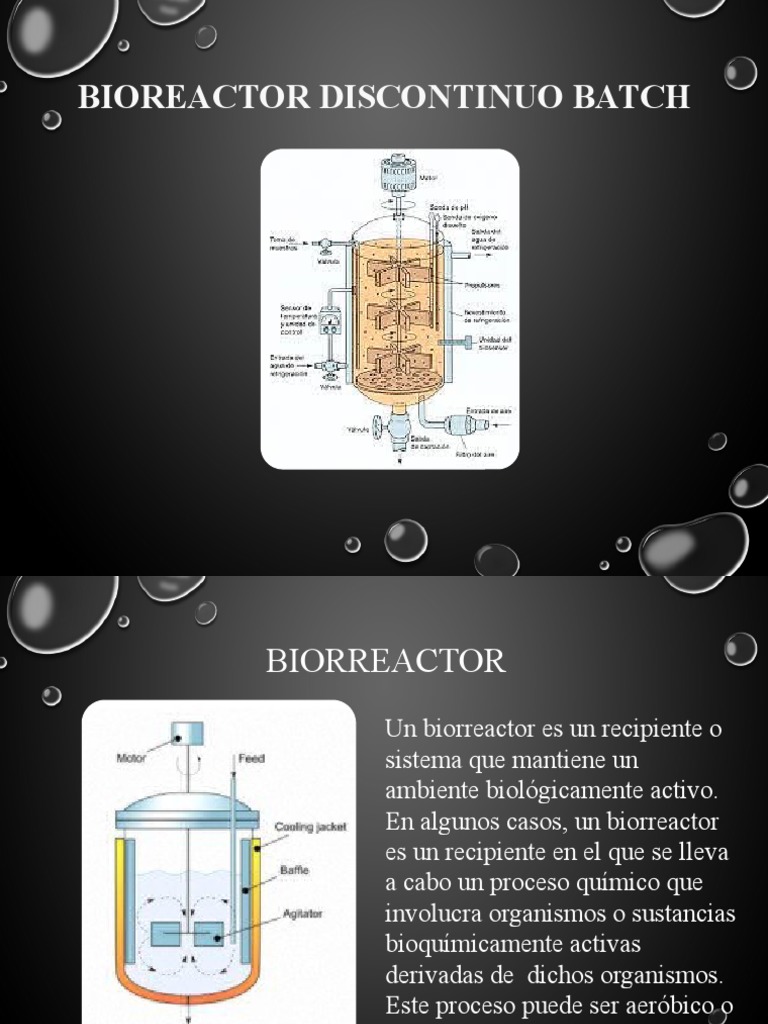 Tema Nº5 - Biotec. Alim. Biorreactor Discontinuo (Batch) | PDF | Ingeniería de Procesos ...