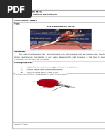 Lesson Plan | PDF | Table Tennis | Individual Sports