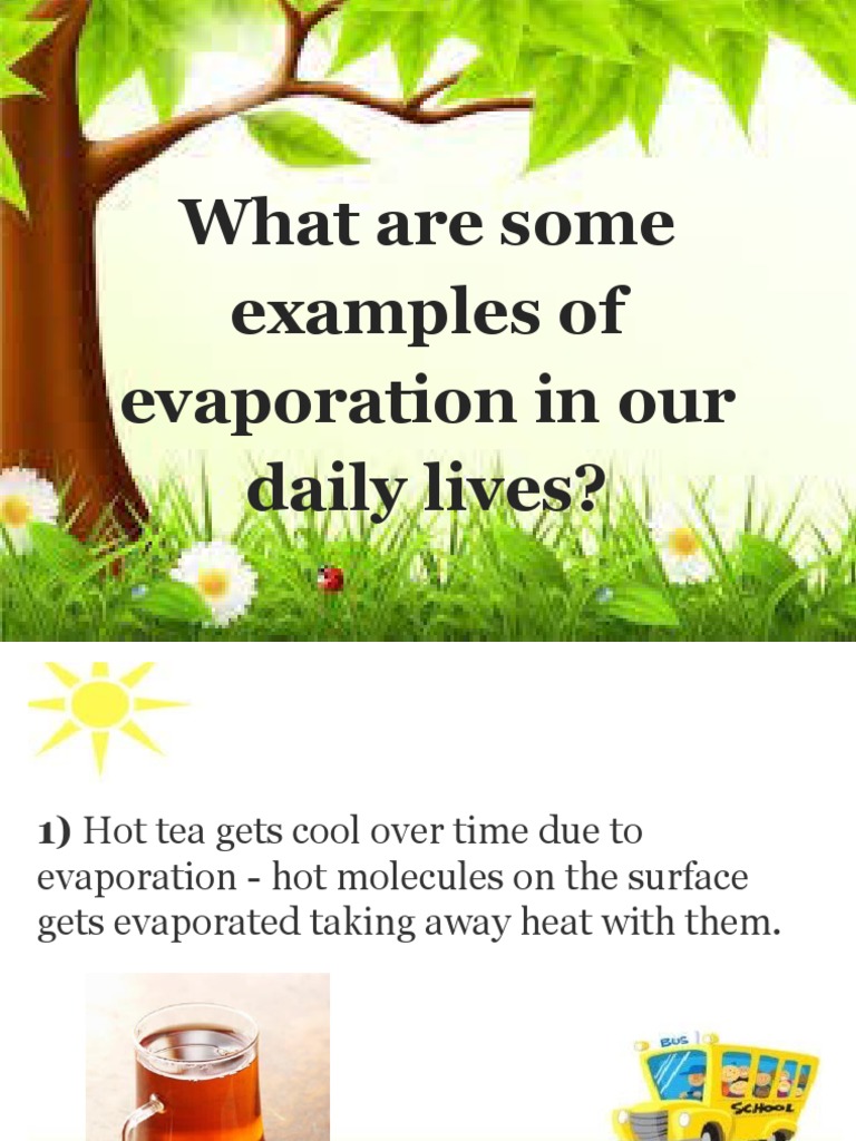 Examples of Evaporation in Our Daily Lives | PDF