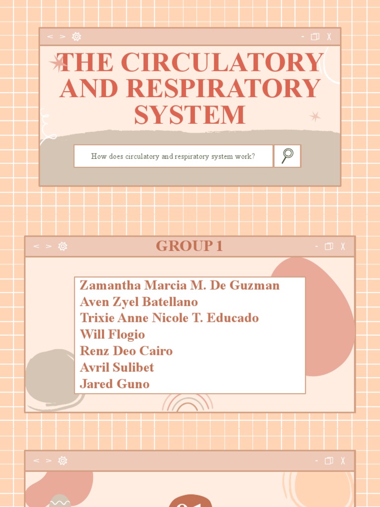 Circulatory and Respiratory System | PDF | Circulatory System ...