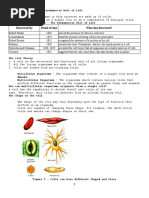 Year 9 Science Revision Booklet | PDF | Atoms | Cell (Biology)