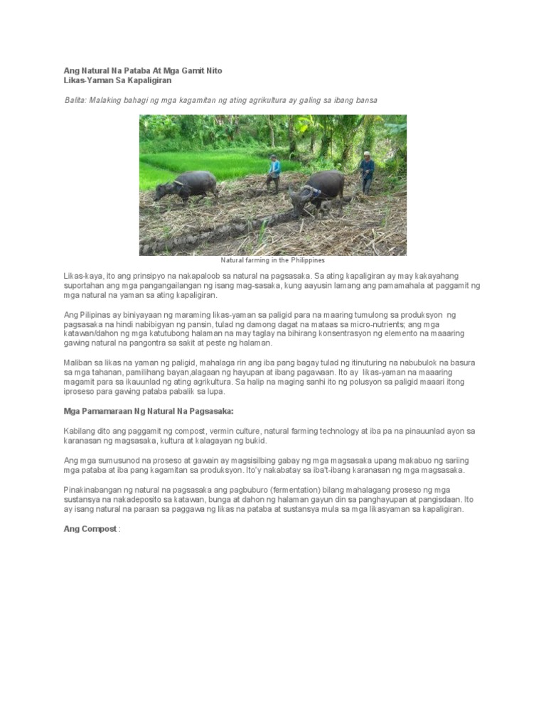 Ang Natural Na Pataba at Mga Gamit Nito | PDF