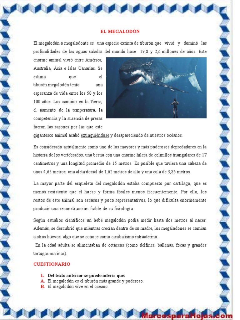 El Megalodón (Comprensión) | PDF | Tiburones | Zoología