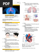 BUBBLE-HE Assessment | PDF | Breastfeeding | Postpartum Period