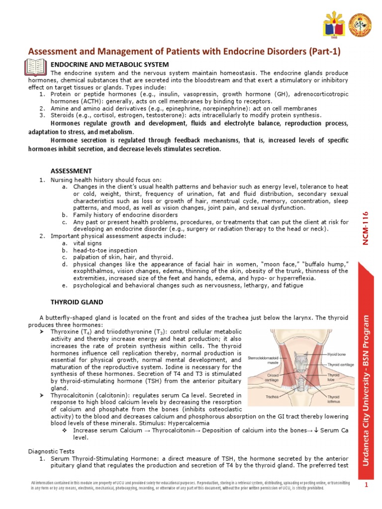 Assessment and Management of Patients with Endocrine Disorders: An ...