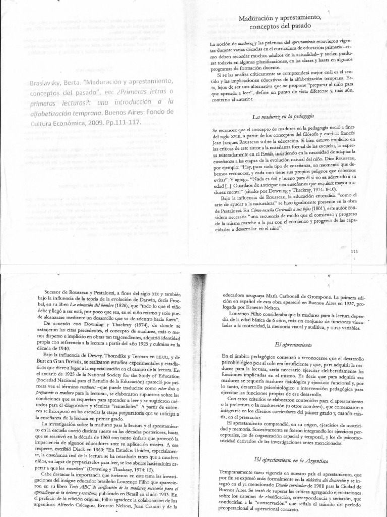 12-Braslavsky Maduracion y Aprestamiento | PDF