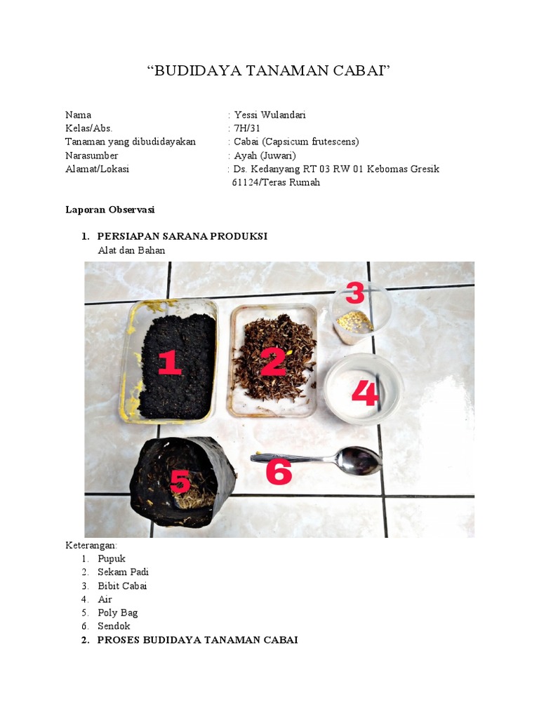 Kliping BUDIDAYA TANAMAN CABAI | PDF | Griya & Taman | Kesehatan Holistik