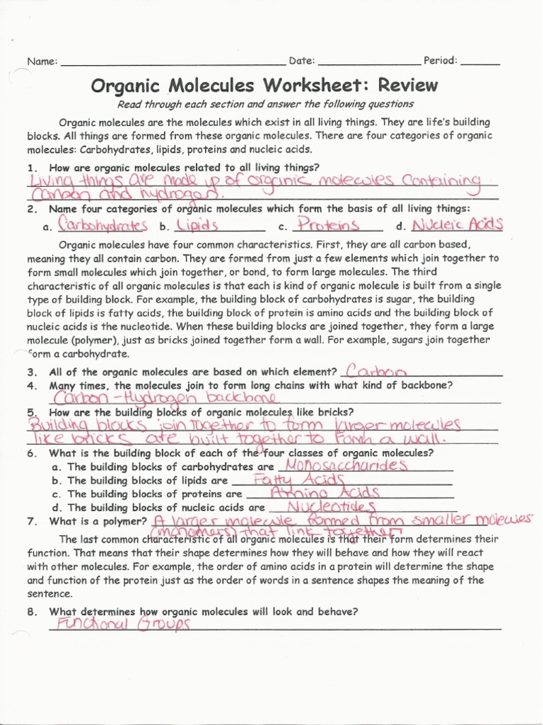 Organic Molecules Worksheet | PDF