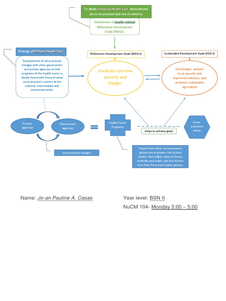 Concept Map | PDF | Millennium Development Goals | Health Sciences