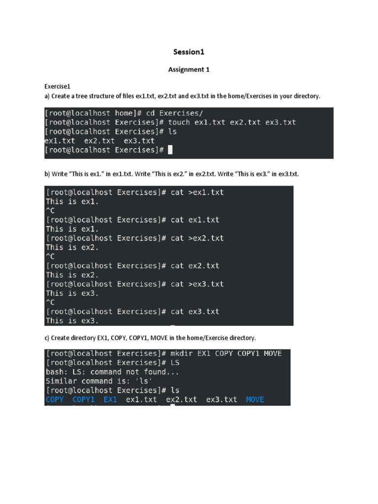Exercise 1: File Management Tasks | PDF