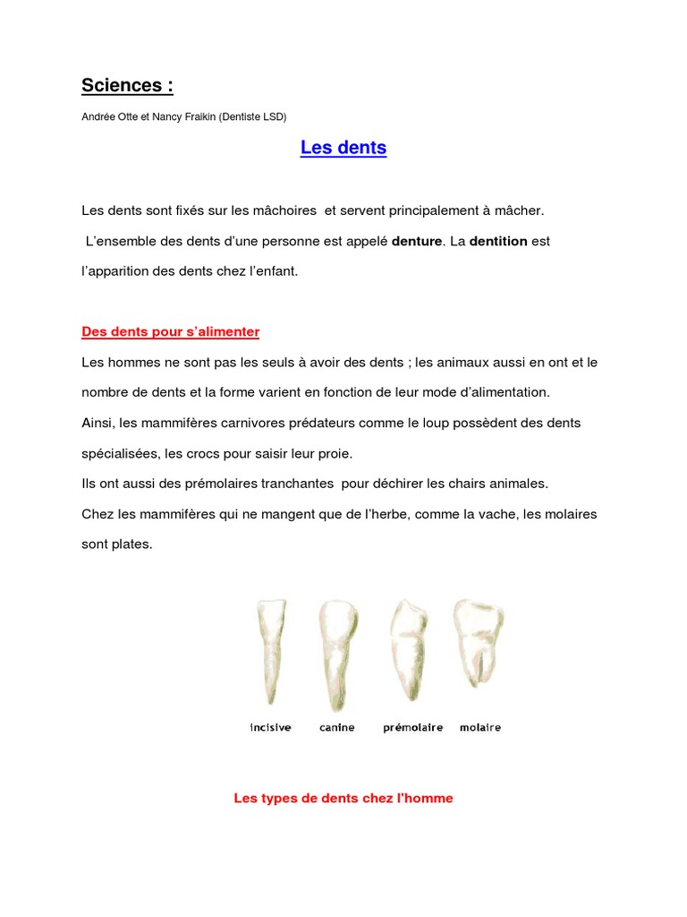 Biologie Dents | PDF | Dent | Bouche