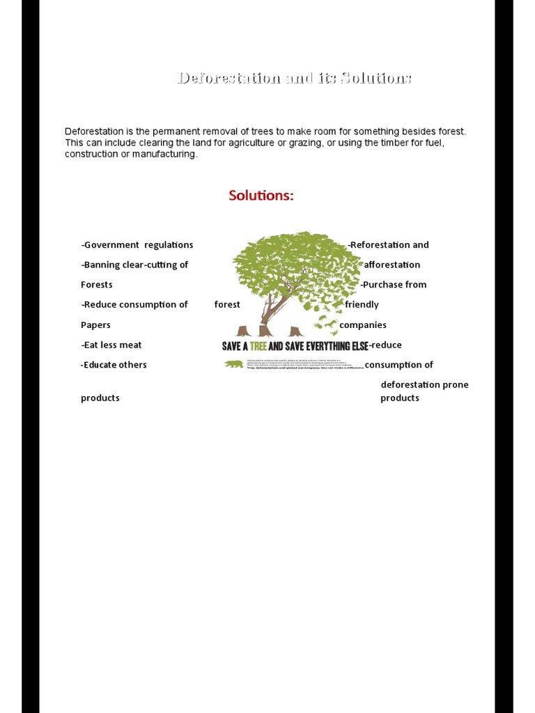 Deforestation Causes and Solutions | PDF