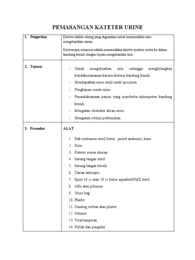 Pemasangan Kateter Urine | PDF