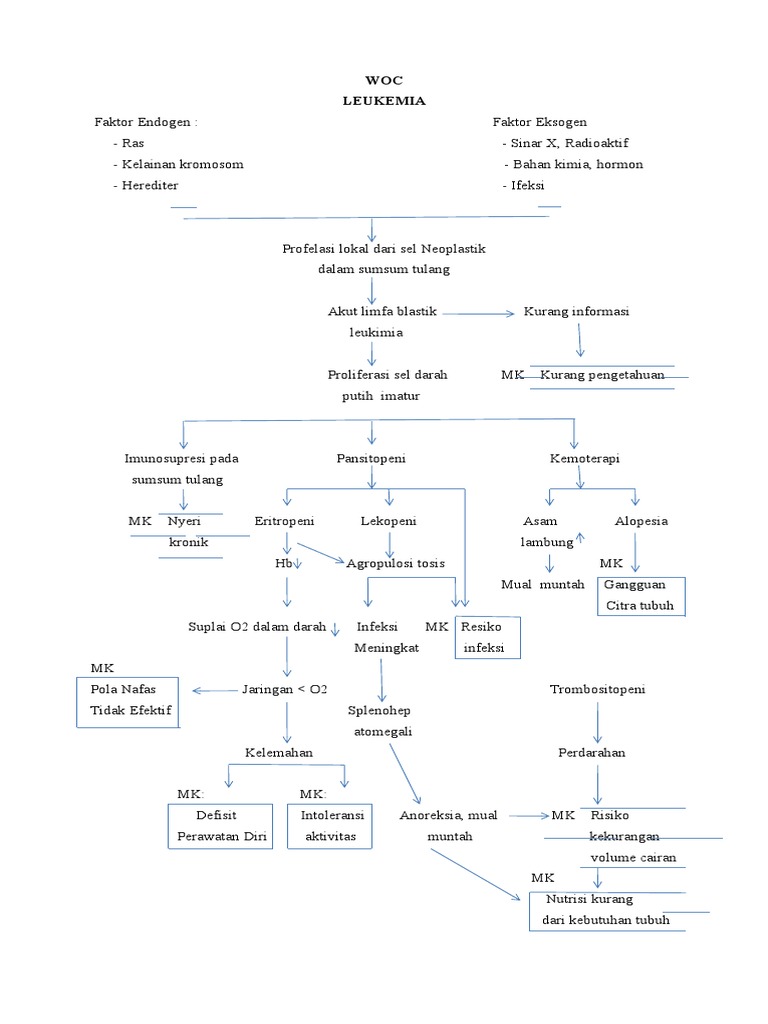 Woc Leukemia | PDF