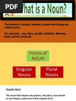 Singular & Plural Nouns: Notes, Examples, and Exercises PDF | PDF ...