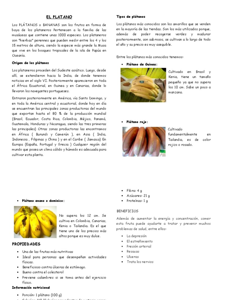 Tipos y propiedades nutricionales de los plátanos | PDF | Plátano