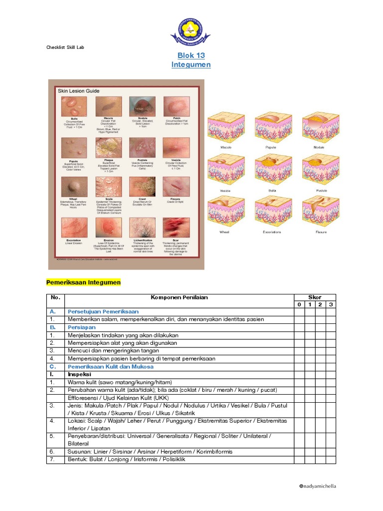 Checklist Skill Lab Blok 13 | PDF