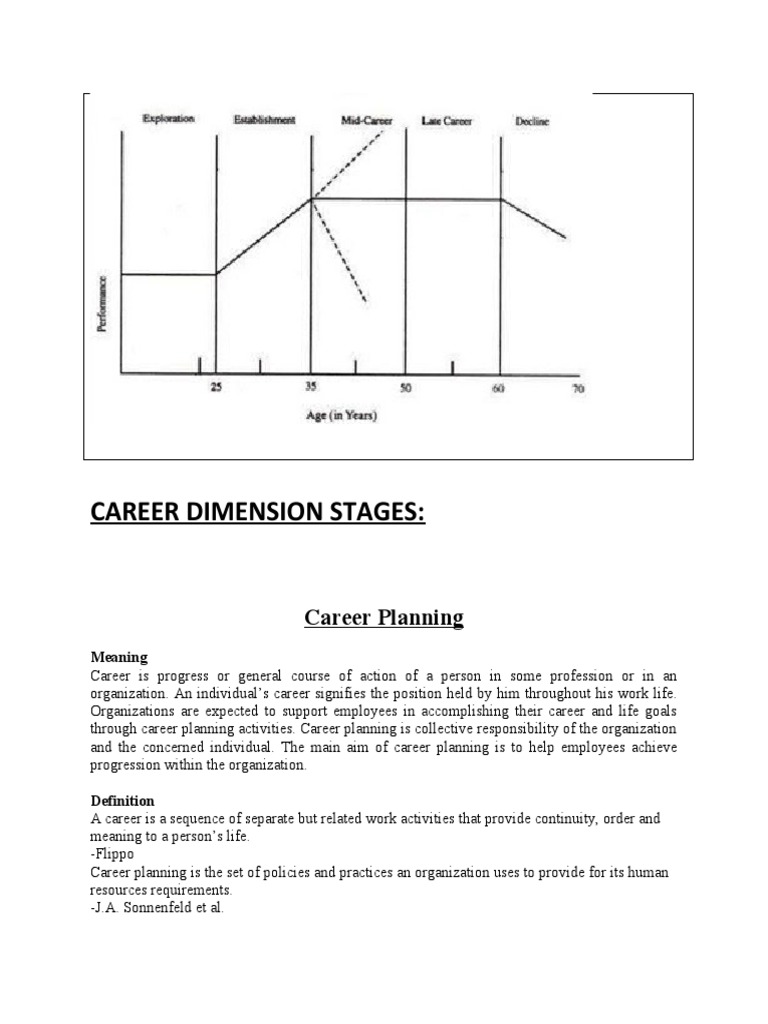 Career Dimensions Stages | PDF | Goal | Employment