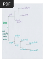 Diagrama de Luca Evolución | PDF