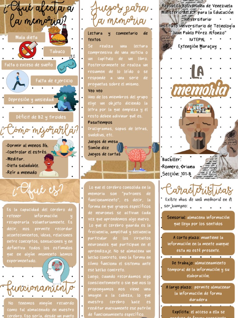 La Memoria Triptico | PDF | Memoria | Cerebro