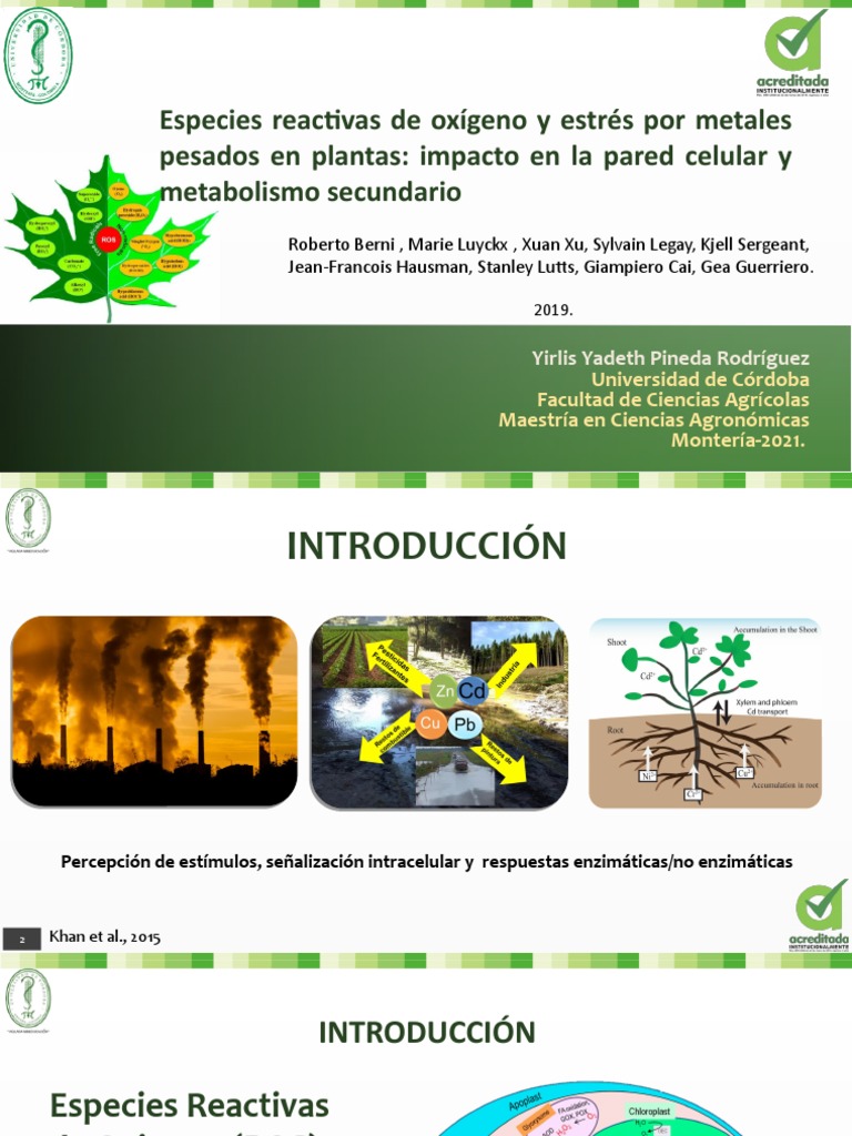 Especies Reactivas De Oxígeno En Plantas Pdf Sustancias Químicas