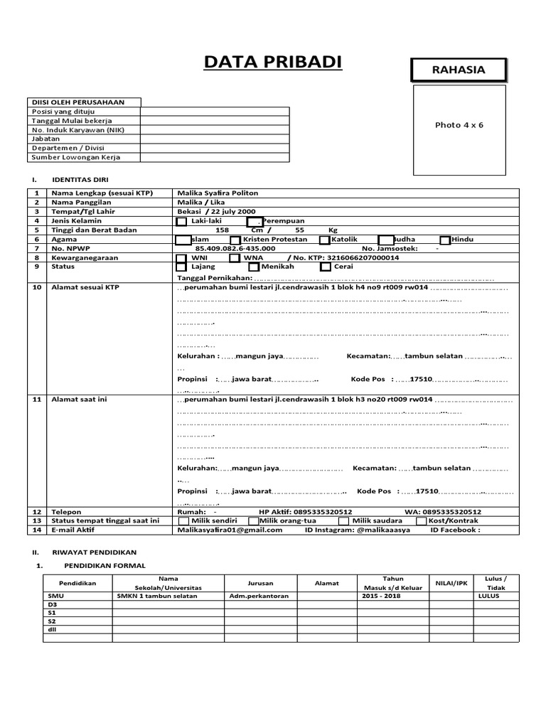 Data Pribadi | PDF