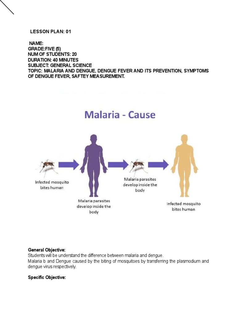 8608 Lesson Plan | PDF | Teaching Method | Malaria