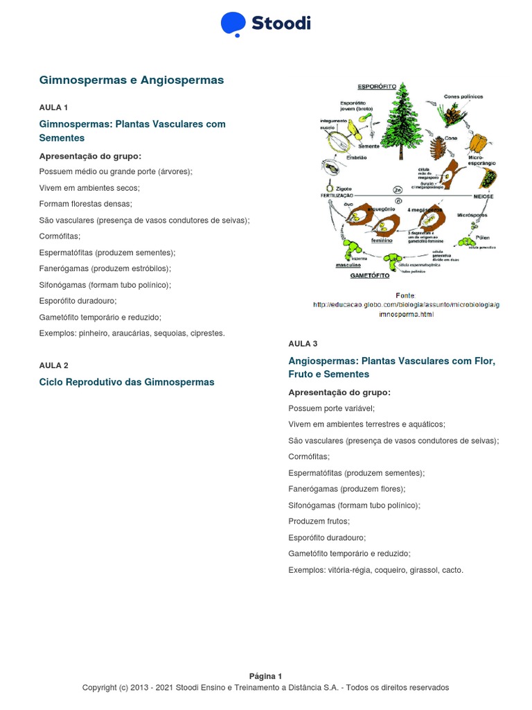 BOTANICA Gimnospermas e Angiospermas | PDF | Flores | Semente