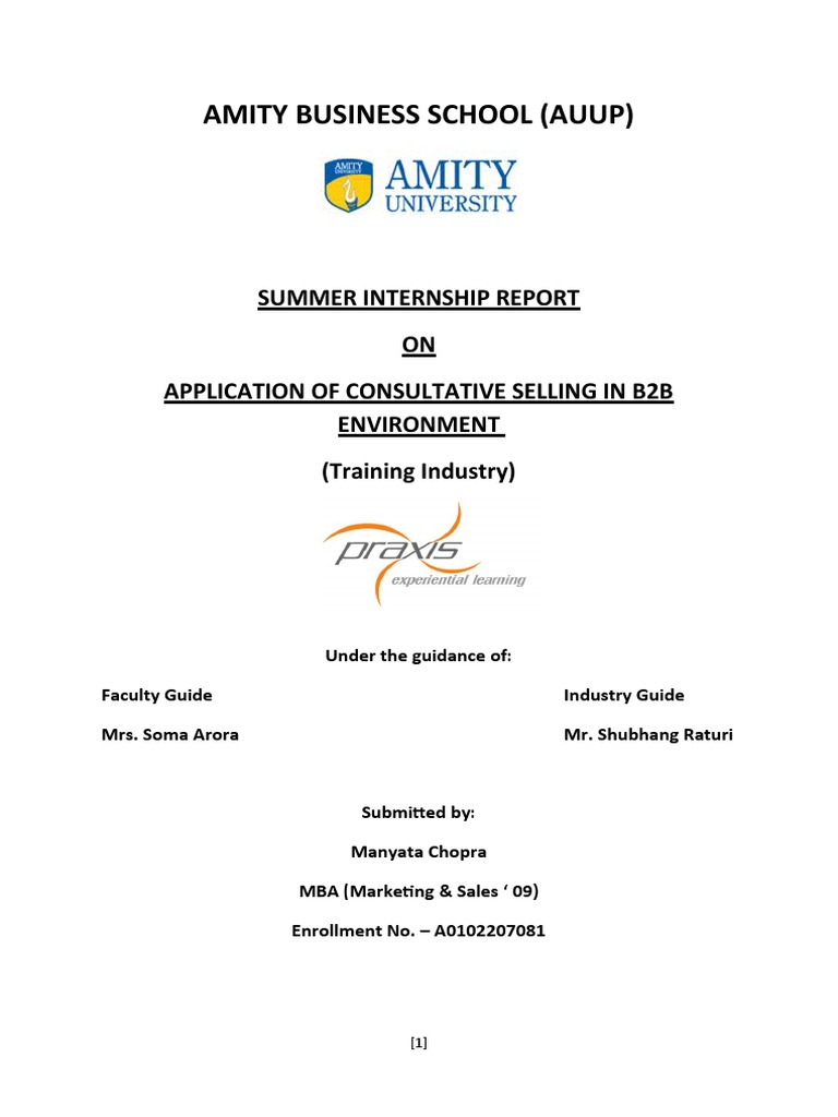Summer Internship Report | PDF | Sales | Marketing