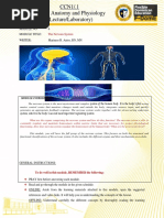 Luria Sequence (Luria's Test) - PsychDB | PDF | Executive Functions ...