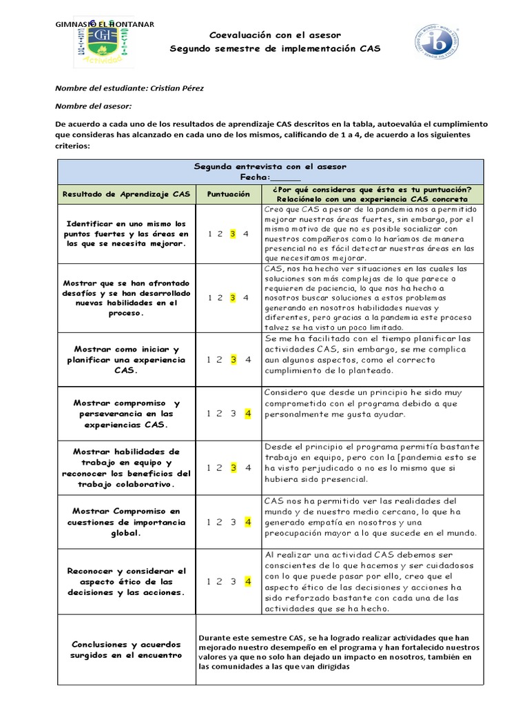 Segunda Entrevista Con El Asesor Cristian Pérez | PDF | Aprendizaje | Creatividad