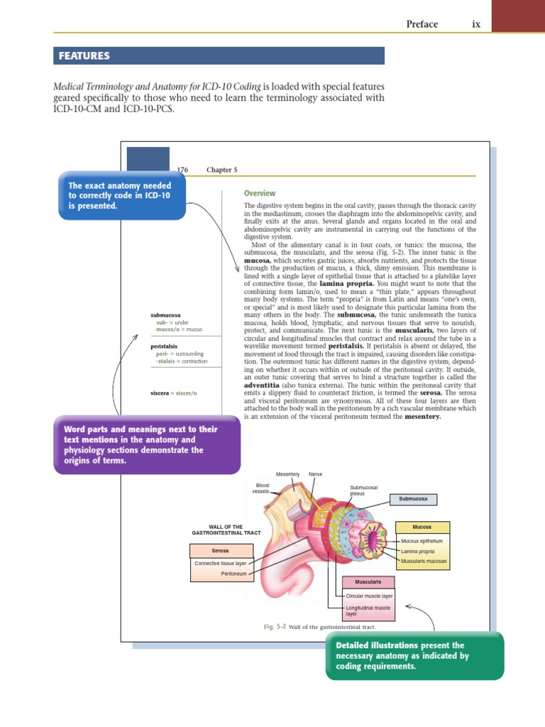 Medical Terminology and Anatomy For ICD-10 Coding | PDF | Peritoneum ...