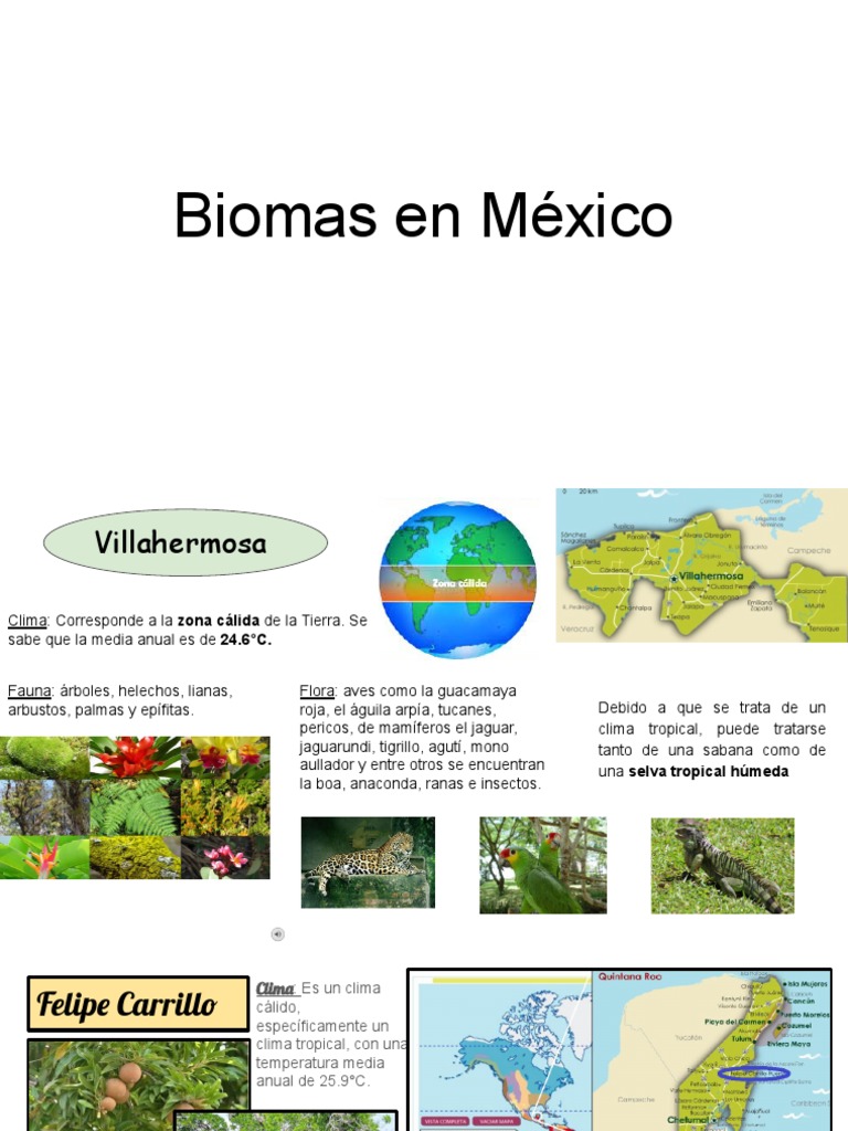 Biomas en México | PDF | Desierto | Clima templado
