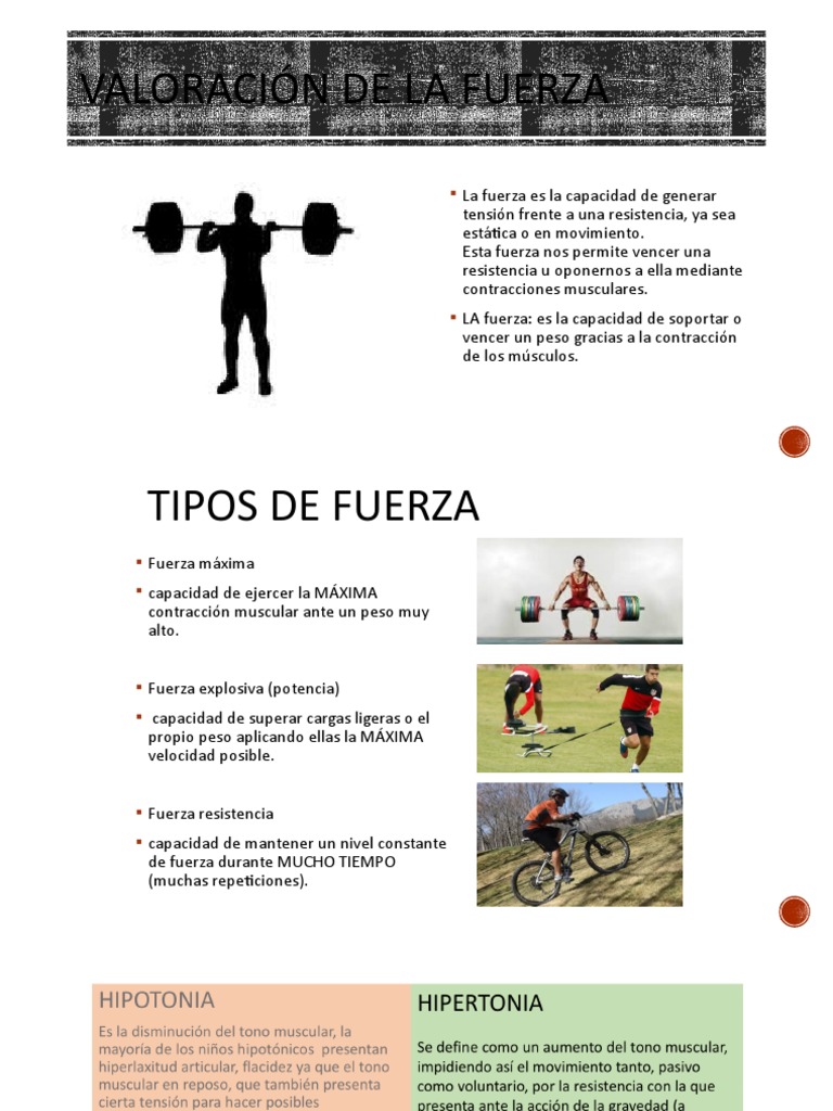 Fuerza Muscular | PDF | Músculo | Contracción muscular