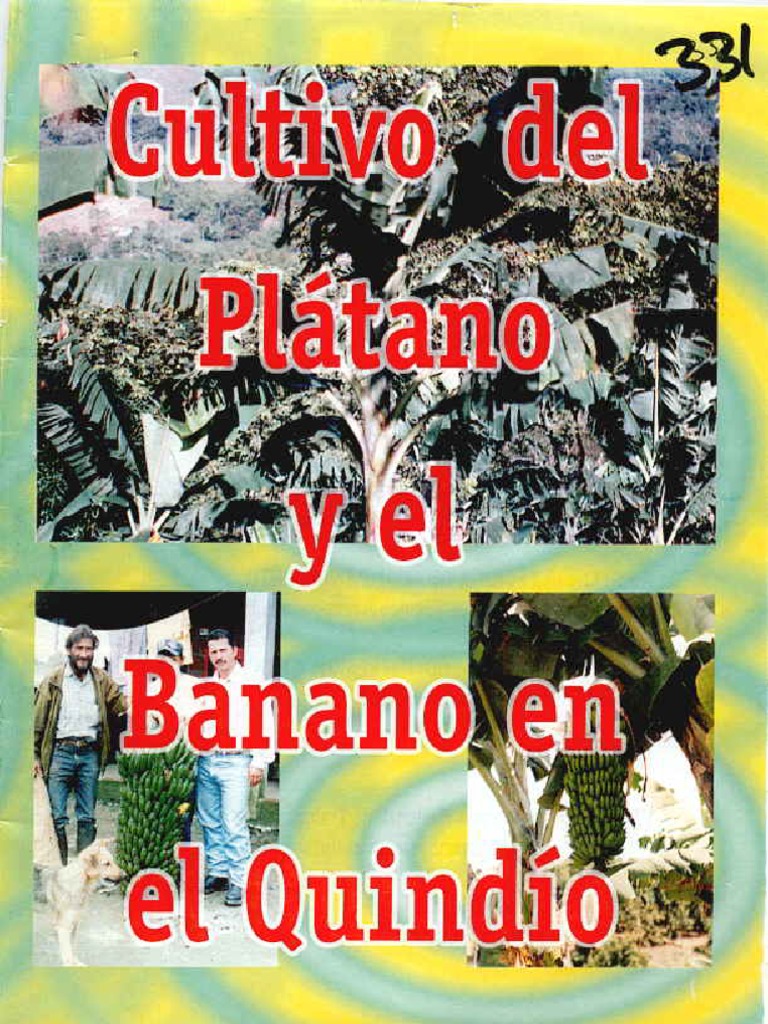 Platano y Banano | PDF