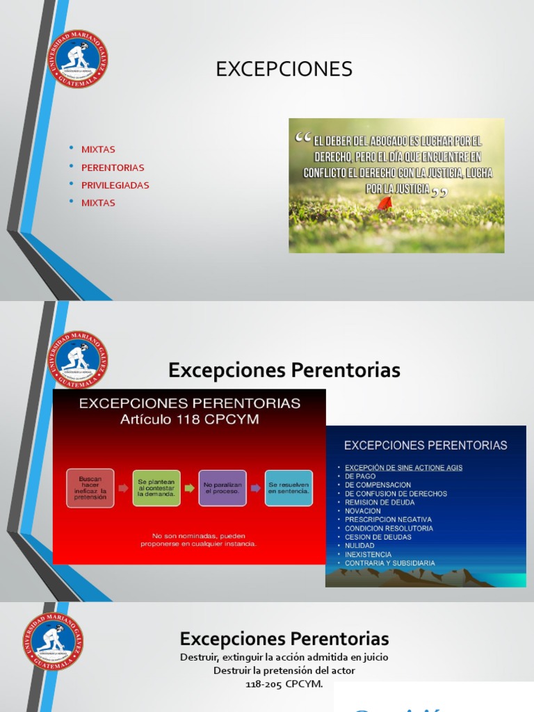Excepciones Perentorias-Mixtas y Privilegiadas | PDF