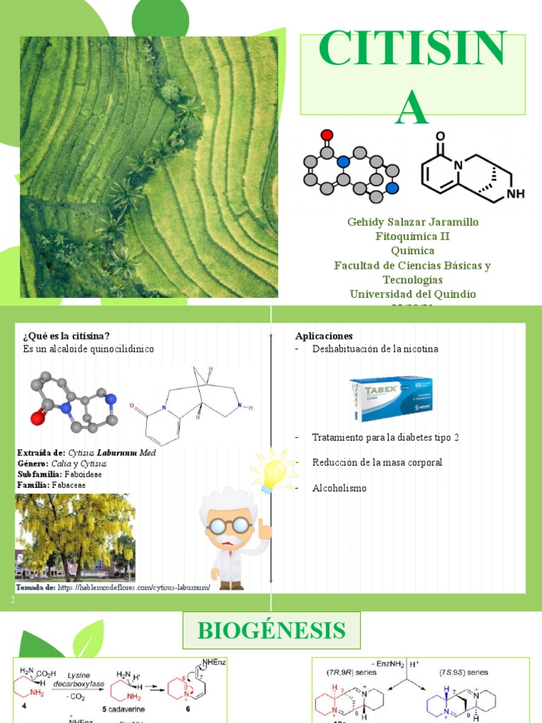 La Citisina | PDF | Salud y bienestar