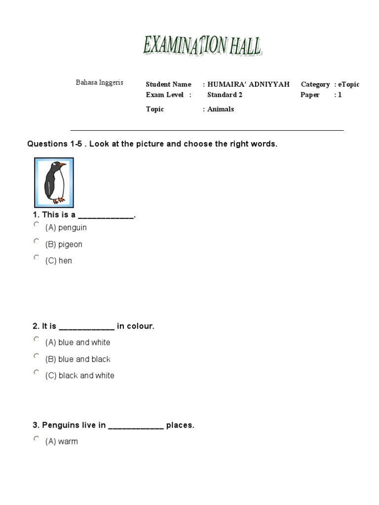 Questions 1-5 - Look at The Picture and Choose The Right Words | PDF