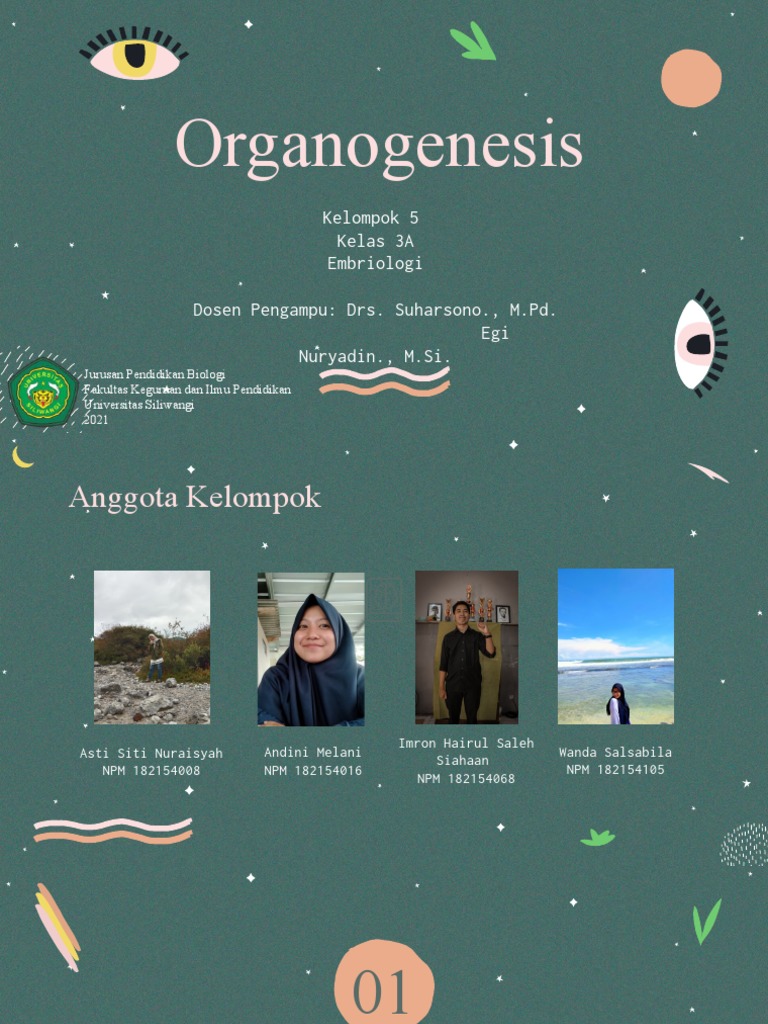 Proses dan Tahapan Organogenesis | PDF