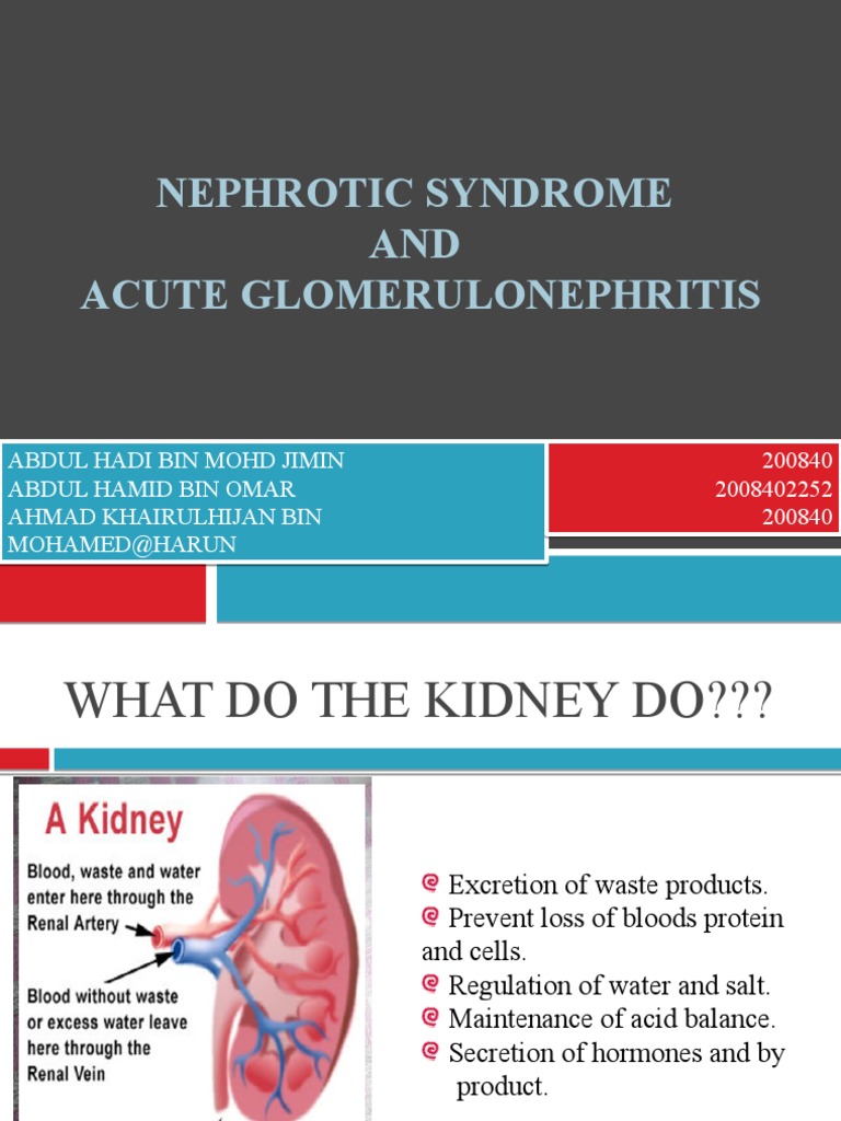 Nephrotic Syndrome Hamid Download Free Pdf Clinical Medicine