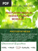 CH 11. Photosynthesis in Higher Plants - PPT | PDF | Photosynthesis ...