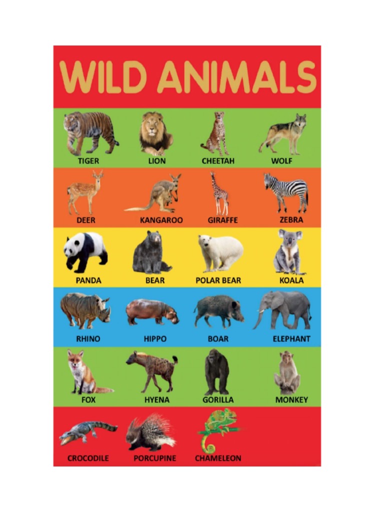 Wild Animals | PDF