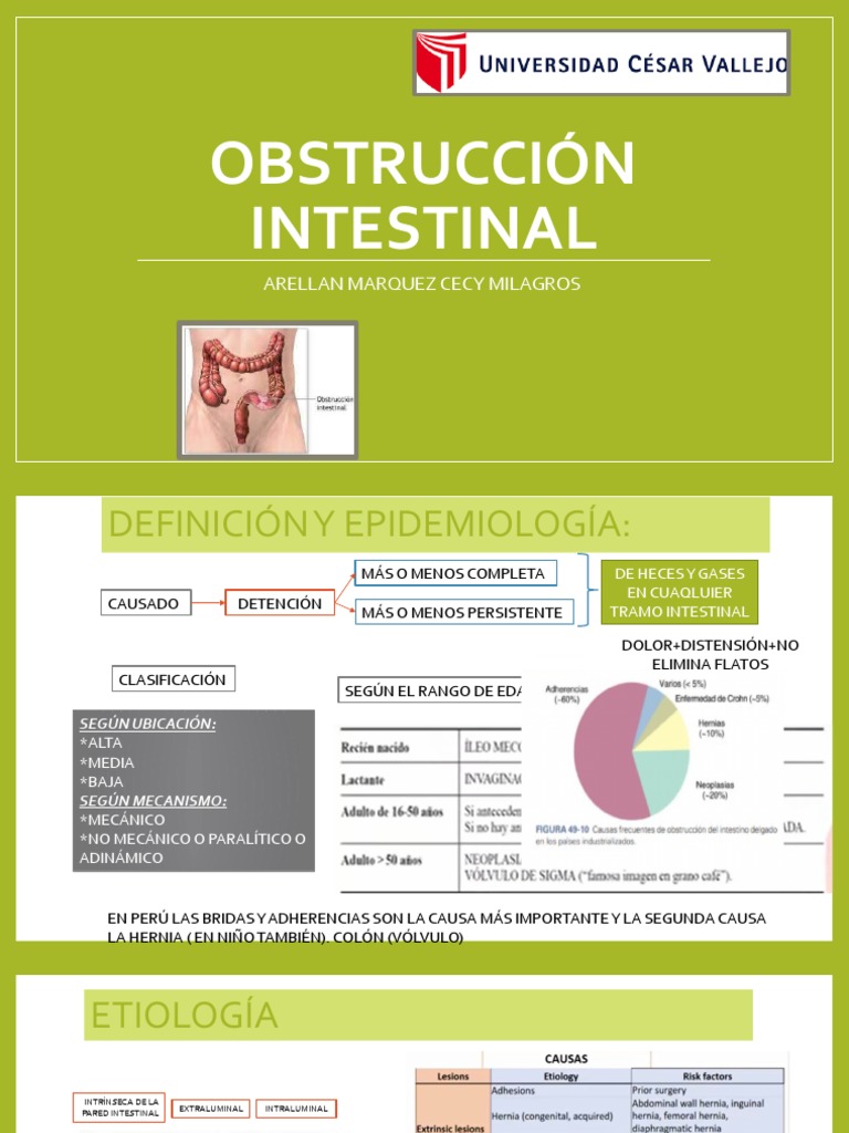 Obstrucción Intestinal: Causas y Tratamiento | PDF | Medicina CLINICA ...