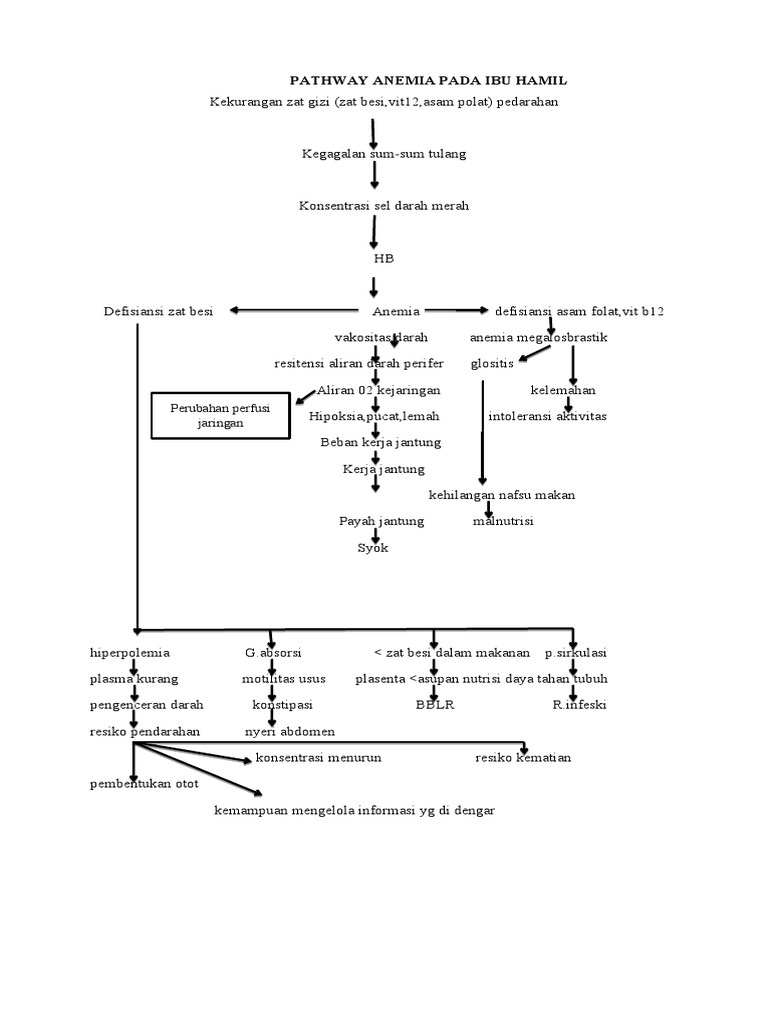 Pathway Ketidak Nyamanan Pada Ibu Hamil Pdf